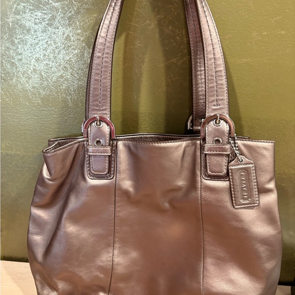 Coach | Bags | Authentic Coach Metallic Soho Leather Bag | Poshmark